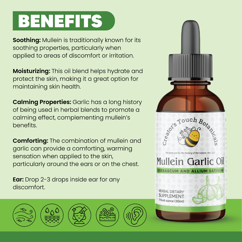 Mullein Garlic Ear Oil 2oz | Soothing Herbal Drops for Ear & Sinus ...