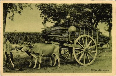 PC INDONESIA SWEET CORN TRANSPORT JAVA (a78240) | eBay