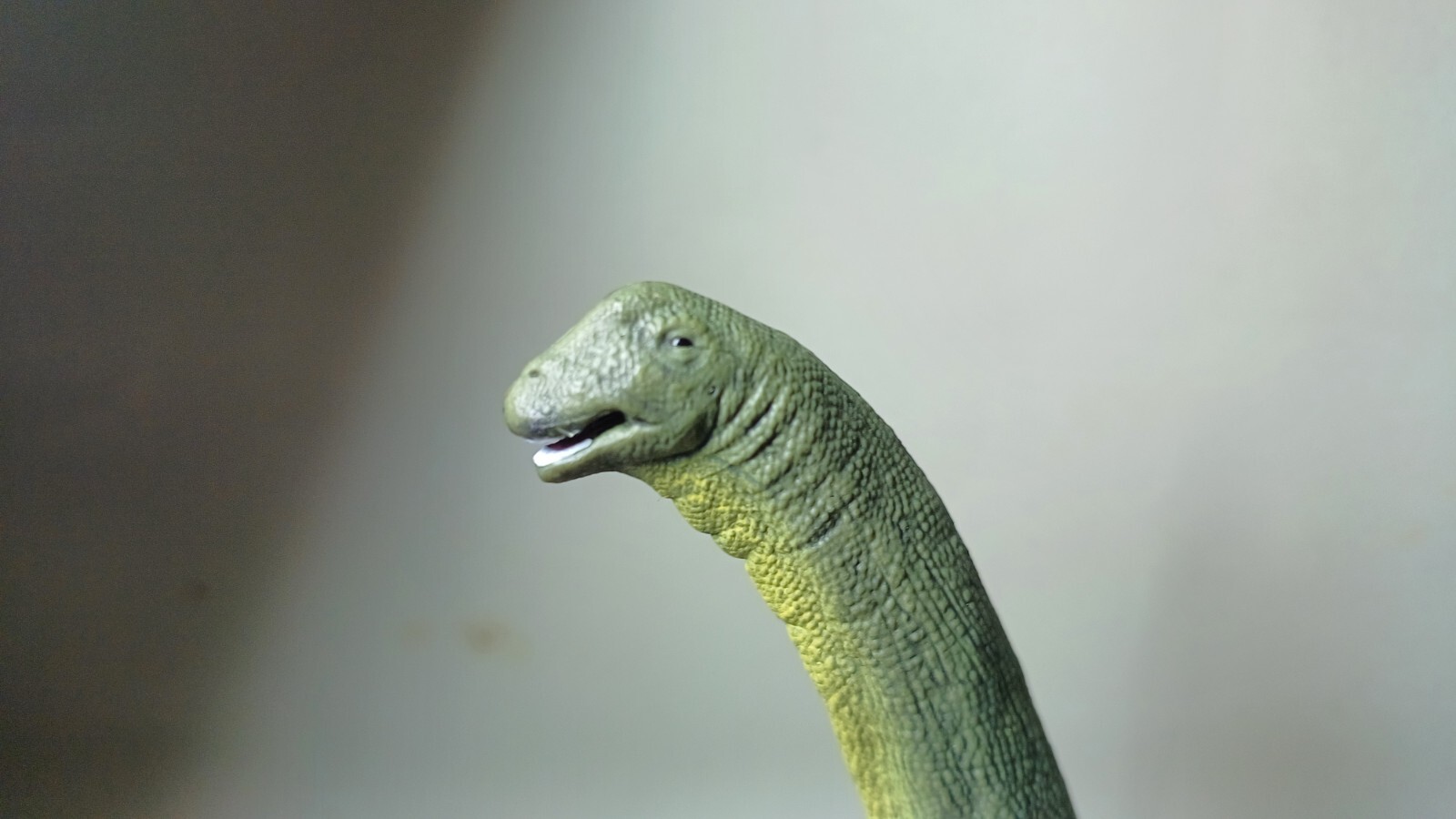 2024 NEW Collecta Dinosa Toy / Figure Dreadnoughtus - Deluxe 1:100 ...