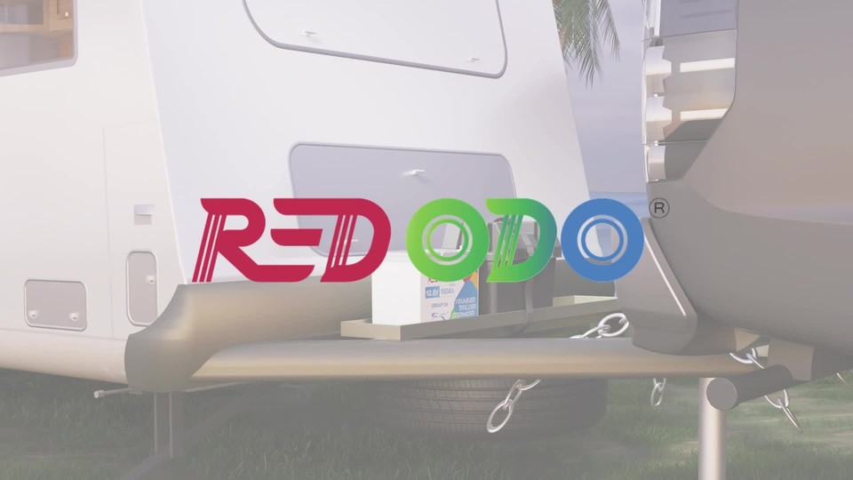 Redodo 12V 100Ah Group 24 LiFePO4 Lithium Battery 100A BMS Grade A ...