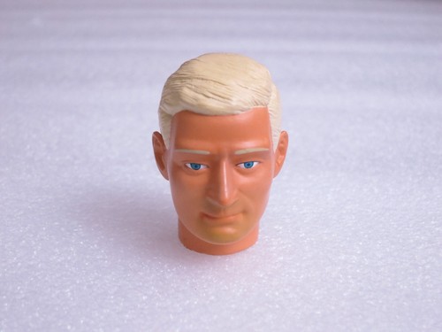 DRAGON Loose "Ernst" Head Sculpt for 12" 1/6th Scale Action Figure BIN ...