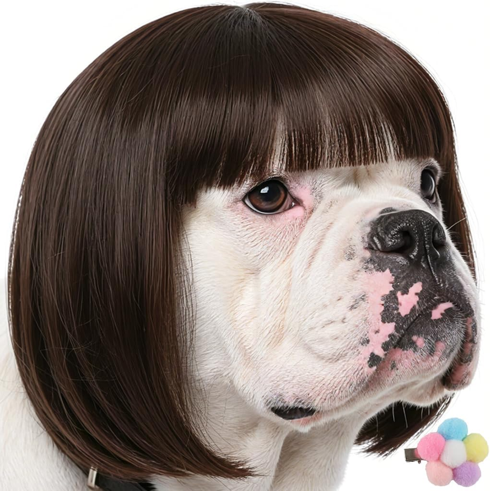 Funny Dog Wig for Small Medium Large Dogs with Free Head Flower ...