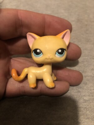 Authentic Littlest Pet Shop Tan Short-haired Cat LPS #339 Raceabout Ranch Magnet | eBay