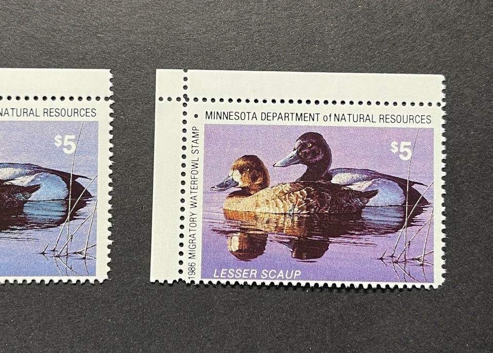 1986 MINNESOTA - State Duck Stamp - Lot1 - MNH **COLOR VARIETY ERROR ...