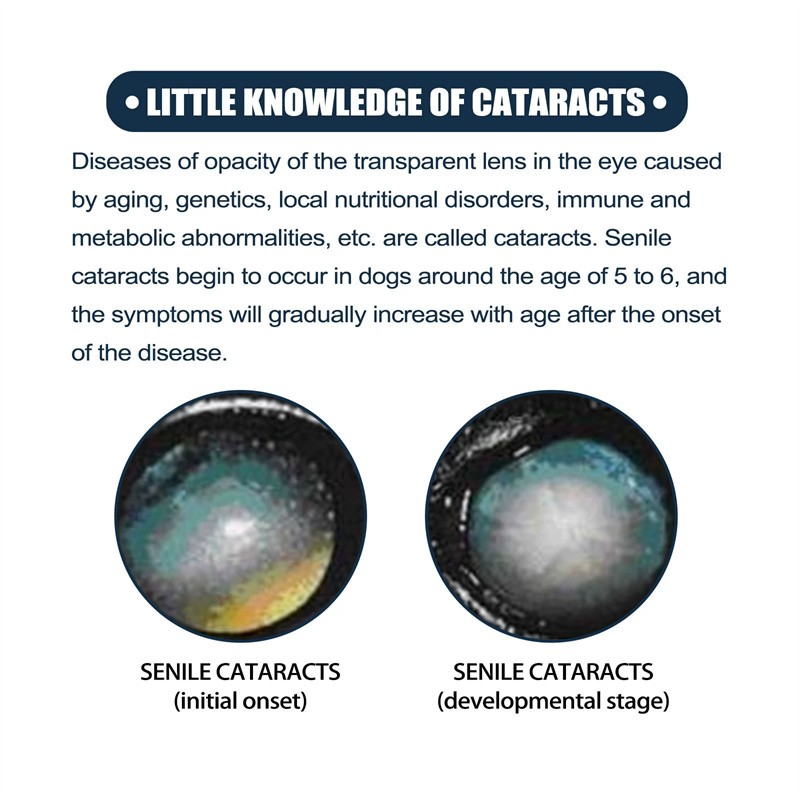 Cataract Drops for Dogs,Dog Eye Drops,Improve Vision Clarity,Improve ...