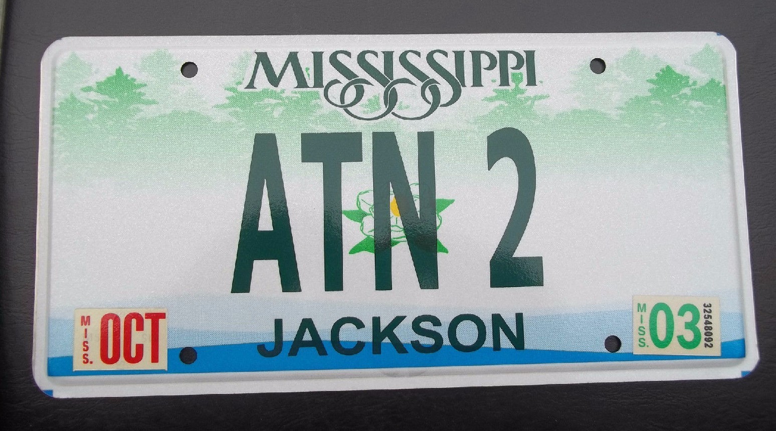 MS VANITY LICENSE PLATE " ATN 2 " ALAN ART ANN NELSON NANCE NEWMAN ...