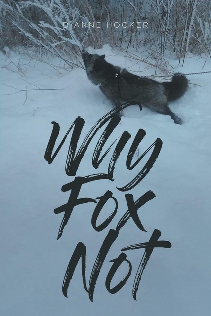 Why Fox Not (Taschenbuch) online kaufen | eBay.de
