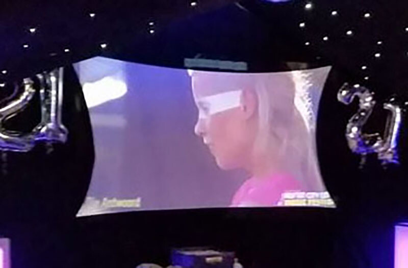 Spandex stretch projection screen garden cinema . various sizes ...