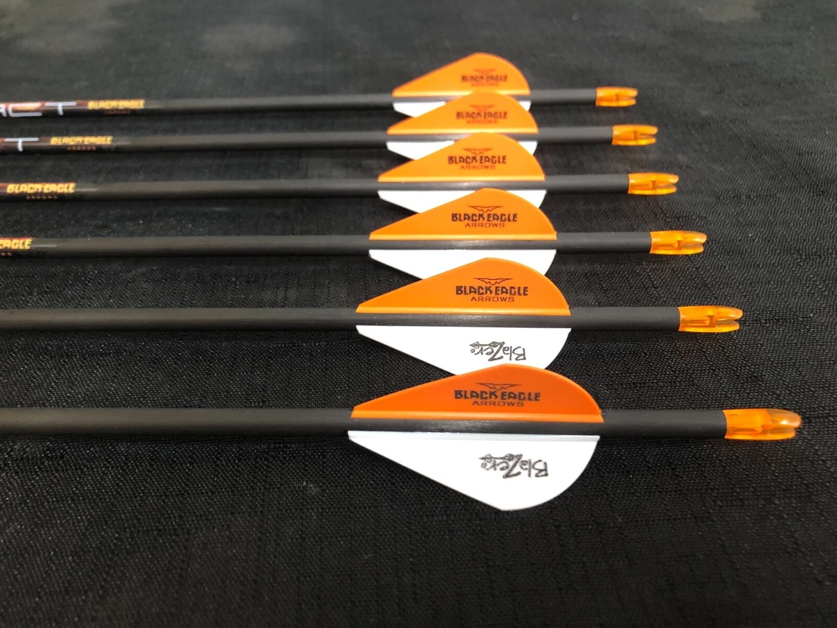 Black Eagle Arrows Logo