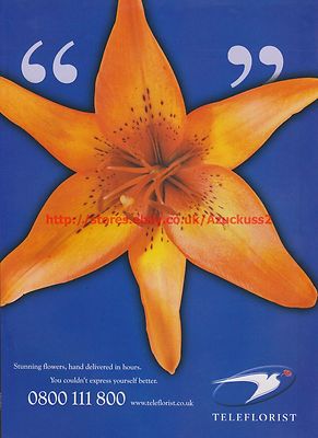 Teleflorist "Stunning Flowers" 2001 Magazine Advert #7542 | eBay UK