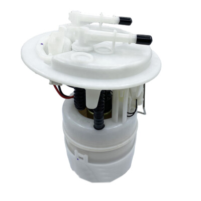 Moteur Pompe a Essence Pour Peugeot 206 406 9638028780 9642124180 ...