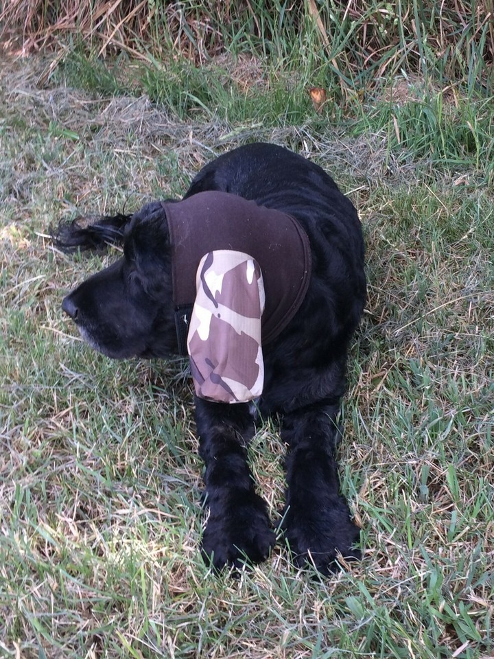 Dogs Ear Protectors/Protection Mutts Ear Mitts® Spaniel, Ear Cover/Hood ...