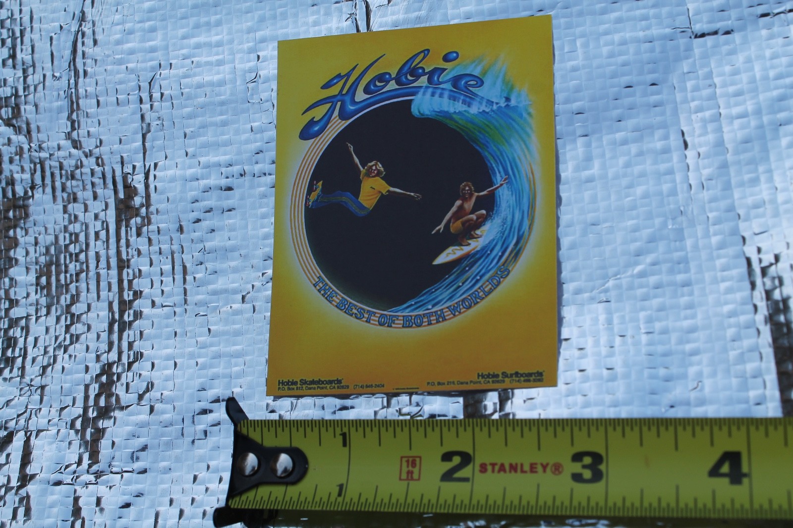 HOBIE Best of Both Worlds Surfboards Skateboards Surfing Skateboarding ...