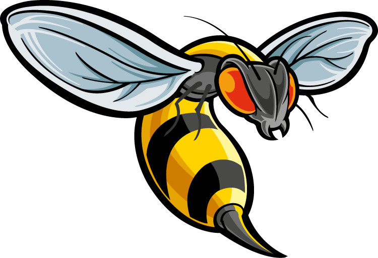 Wasp Yellow Jacket Clip Art