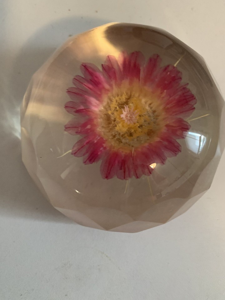 Vintage Faceted Lucite Paperweight with Pink Flower Signed W Rolfe EUC ...