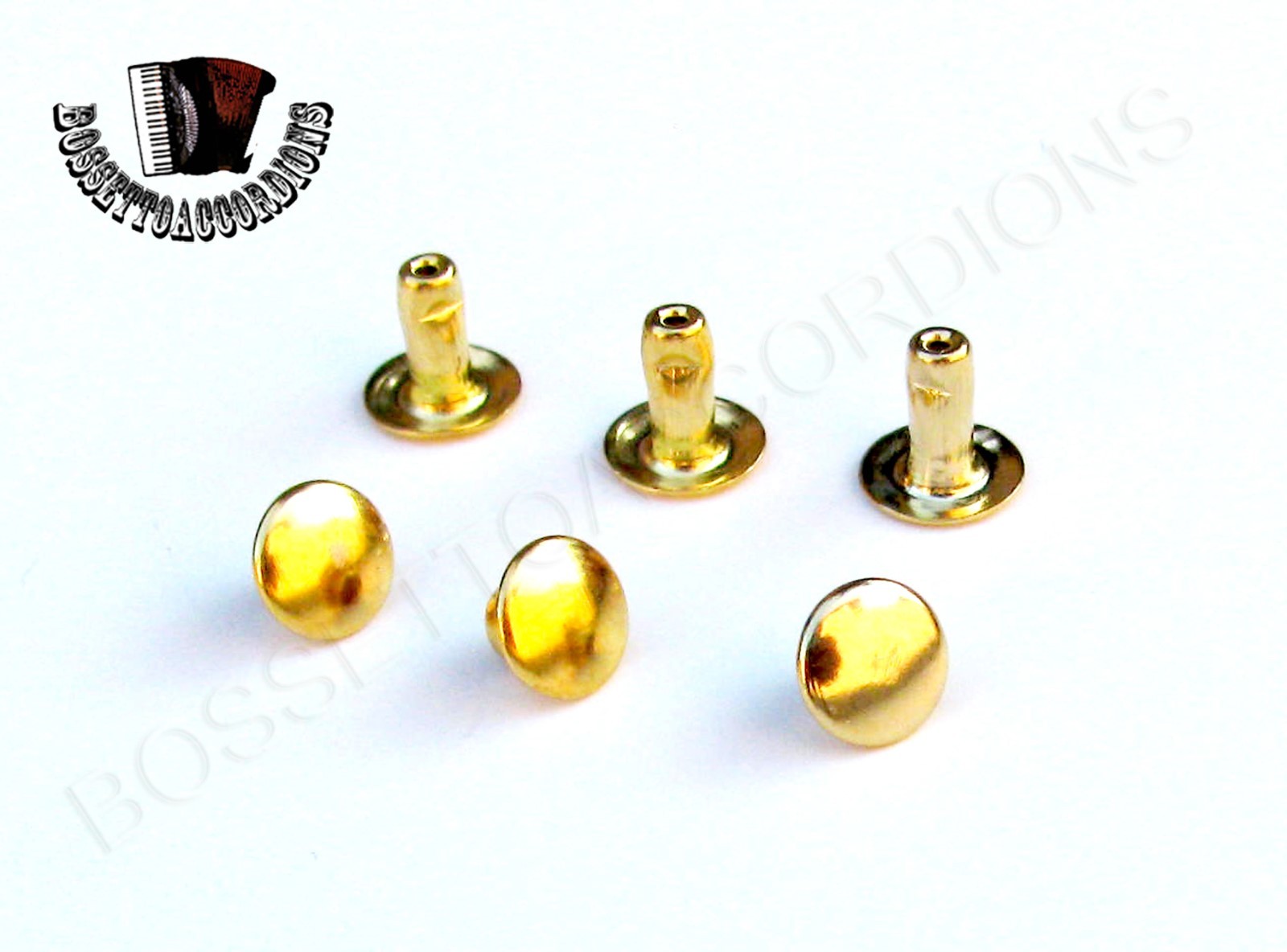 Accordion Bass Strap Hardware Rivets Gold Plated Set of 3 | eBay