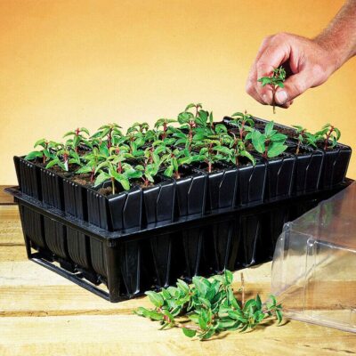 Garden Grow Reusable Deep Root Trainer 32 Cell Seed Plug Plant Tray ...