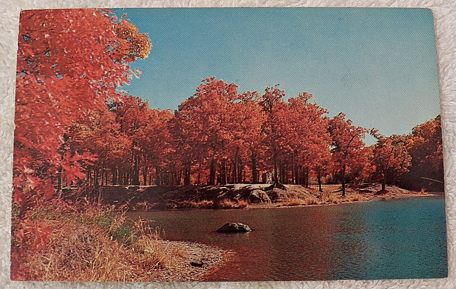 CHROME POSTCARD FALL LEAVES LAKE OF THE WOODS SWOPE PARK KANSAS CITY ...