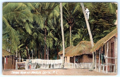 1910's DRYING HEMP AT MASSIS LEYTE P.I. PHILIPPINES THATCHED HUTS ...