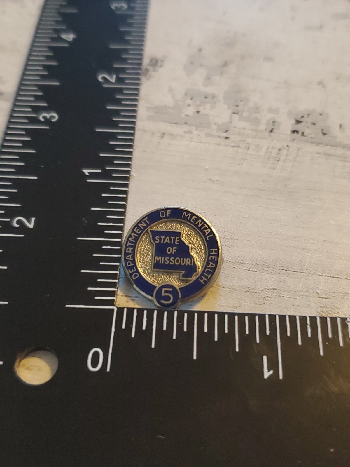 Rare Vintage Division of Mental Diseases State of Missouri 5 Years Pin ...
