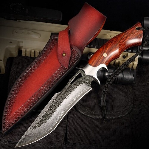 Drop Point Knife Fixed Blade Hunting Survival Combat Outdoor Damascus ...