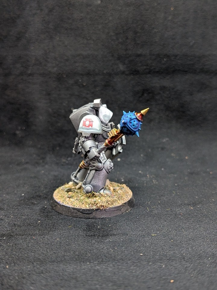 238 Terminators Custom Grey Knights Primaris Space Marines Well Painted ...