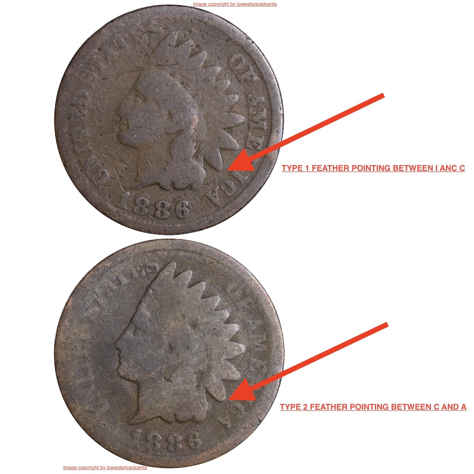 (2 PC. LOT SET)1886 Type 1 and Type 2 Indian Head Cent Pennies AVERAGE ...