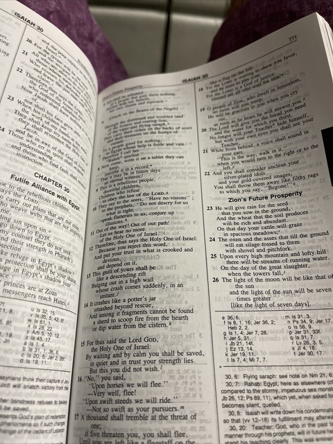 Fireside New American Bible : Catholic Personal Study Edition by Devotional Staff (1992, Trade ...