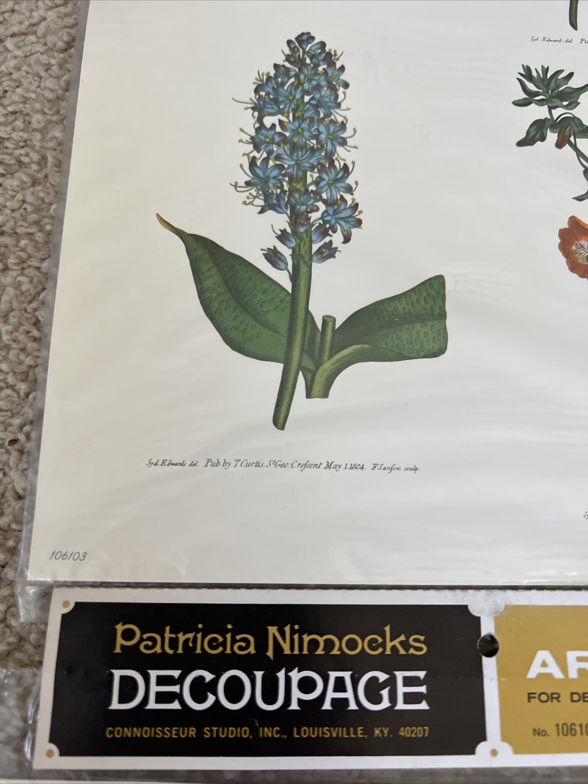 Vintage 1960s Patricia Nimocks Decoupage Art Prints Flowers Circa 18th ...