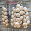 1 Bunch Hanging Fake Vegetable Artificial Corn Pepper Garlic Hanger ...