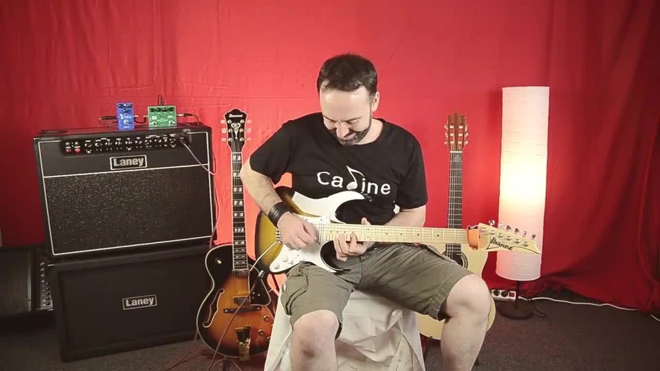 Caline Pedal CP-20 Crazy Cacti Overdrive Pedal Guitar Effect Pedal True ...