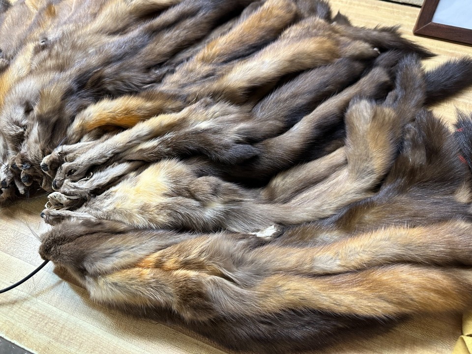 Tanned Sable # 2 Grade Hide Fur Coats Trapping | eBay