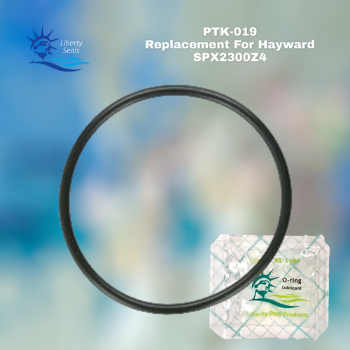 Aladdin O-19. O-Ring Replacement for select Pool and Spa Pump Lid. SPX2300Z4 | eBay