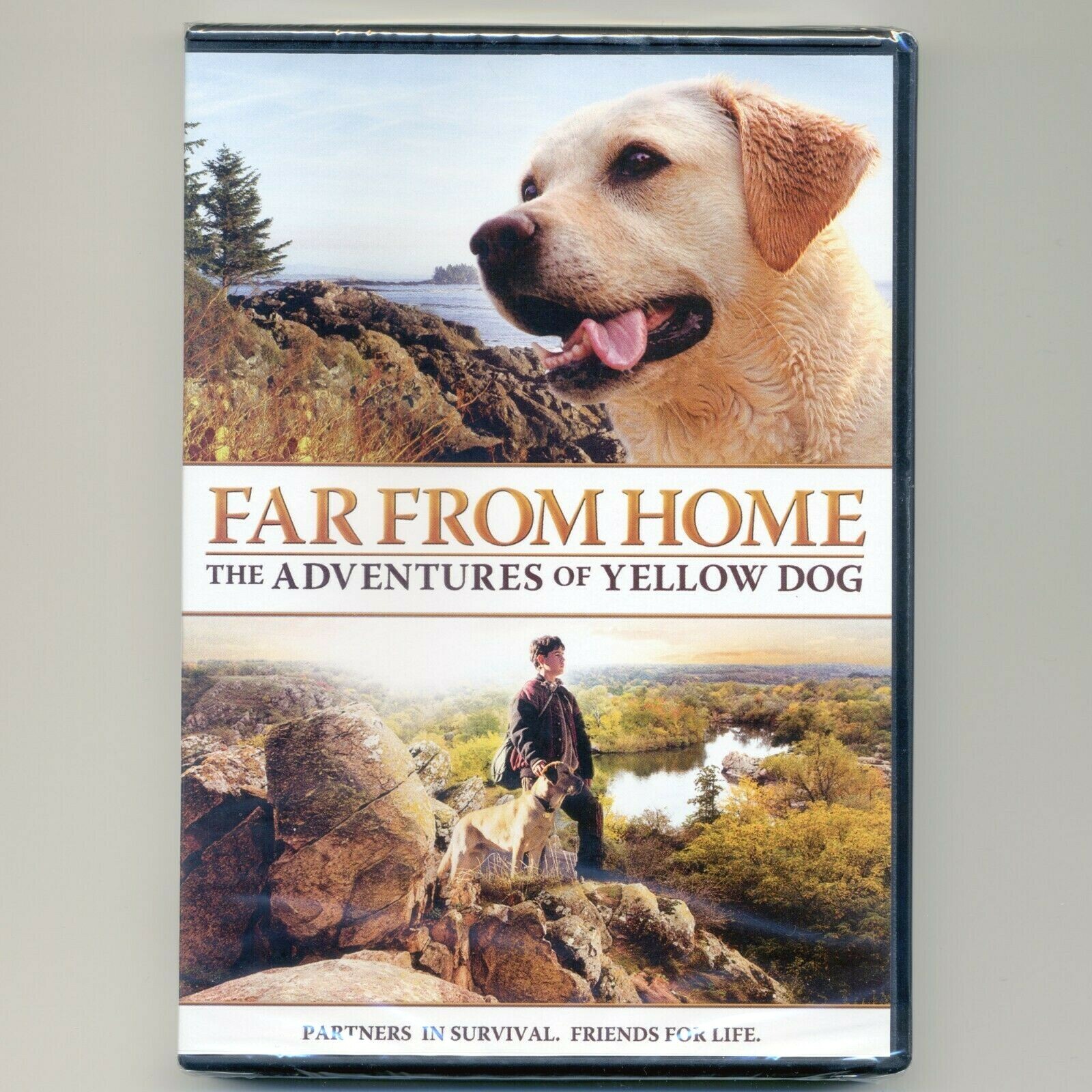 Far From Home Adventures of Yellow Dog, 1995 PG family survival movie ...