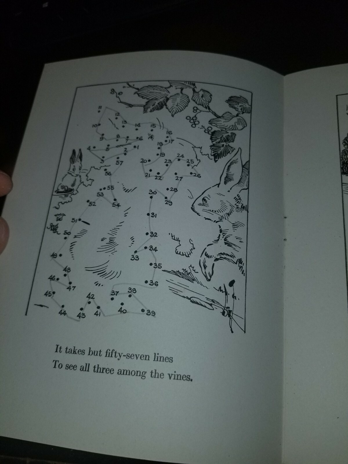 Piffles’s Peter Rabbit Dot Drawing Book Platt & Monk Co. 1920s - Pencil ...