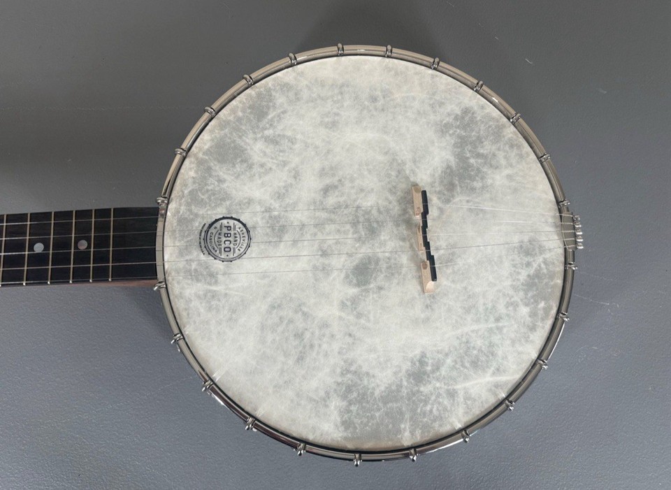 Open-Back 5-String Banjo, With New Case, And Polished Finish | eBay
