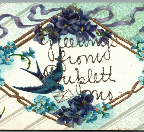 Greetings from Triplett Missouri MO Embossed Vintage Postcard Glitter ...