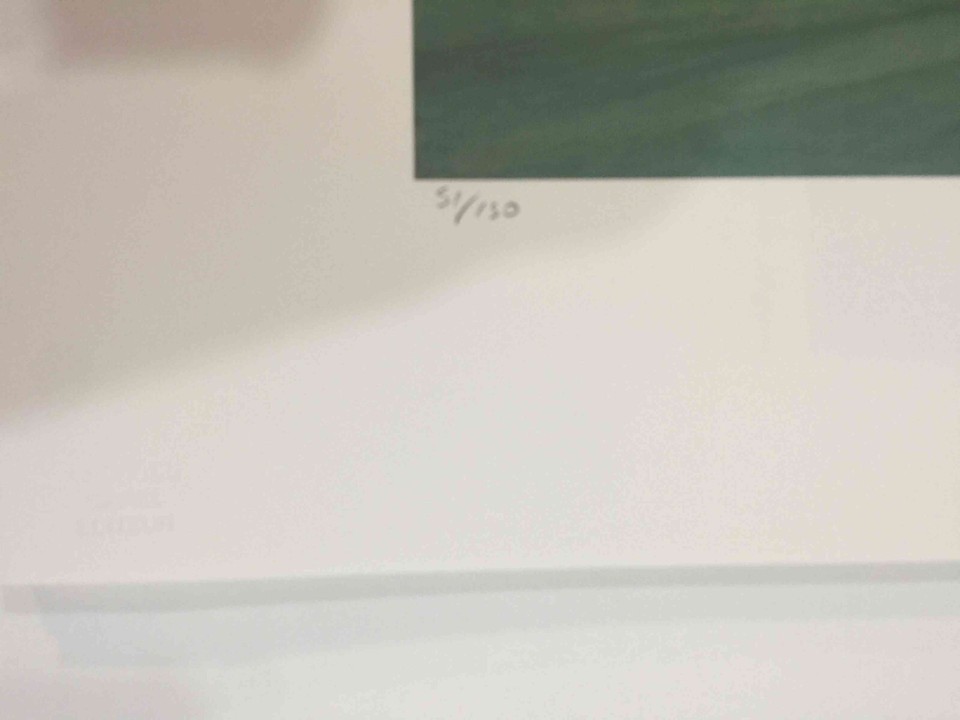 Edward Hopper Lithograph off set cm 57x38 signature on plate certified ...