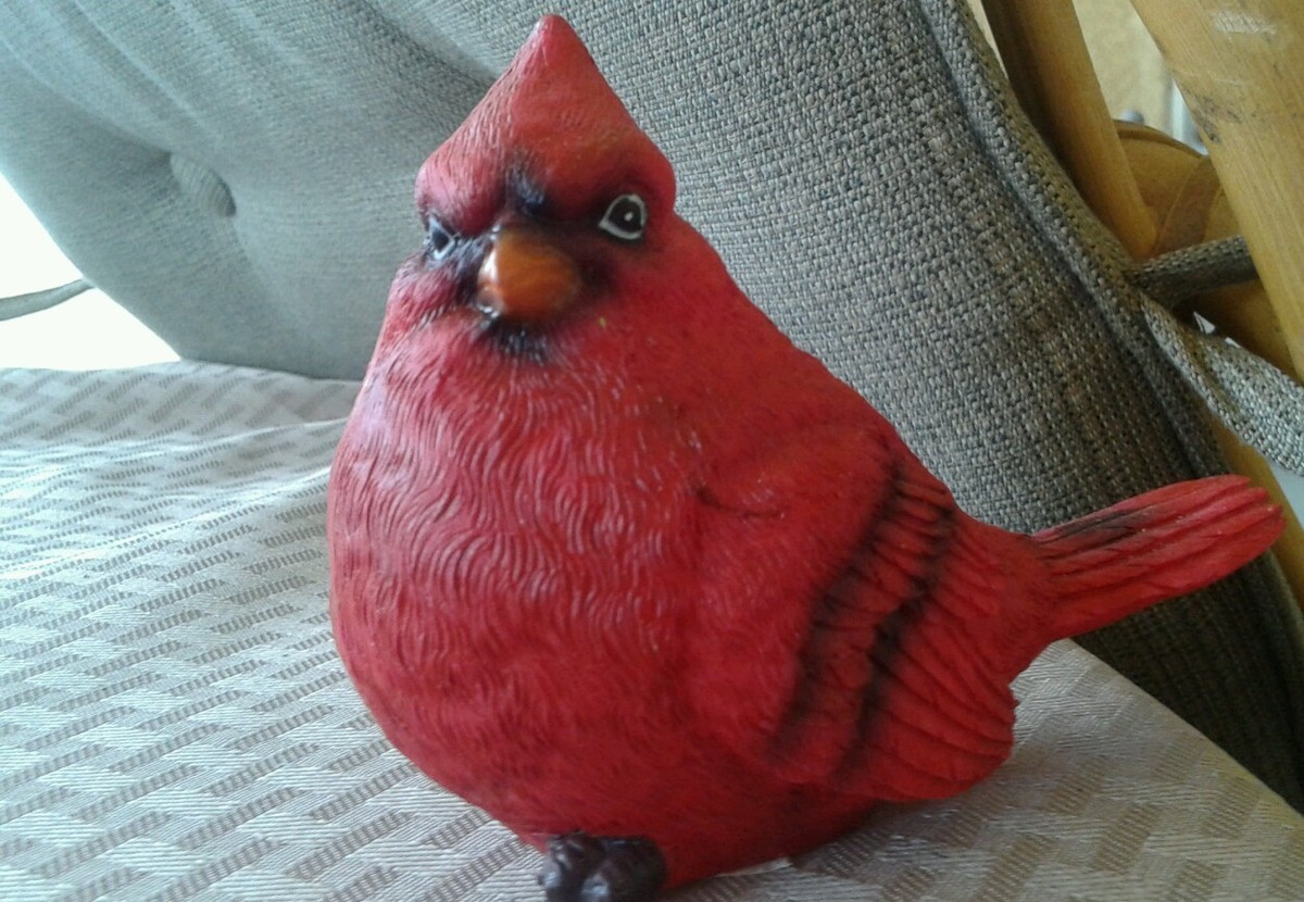 Northern Cardinal Angry Bird