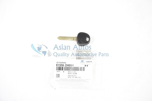 Genuine Hyundai Elantra 2007-2010 Uncut Blanking Key 819962H000 OEM | eBay