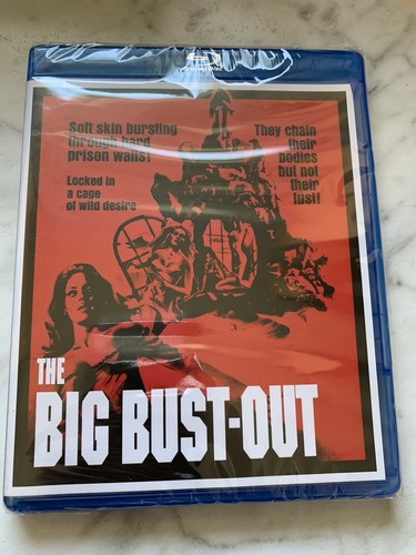 The Big Bust-Out (1973) Scream Factory (Blu-ray, 2021) Limited To 1000 ...