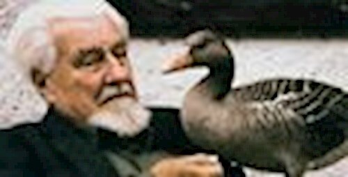 Der Mensch vor der Frage nach dem Sinn Viktor E. Frankl | eBay