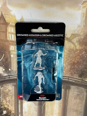 D & D Dungeons & Dragons Nolzur's Miniatures Drowned Assassin & Drowned ...