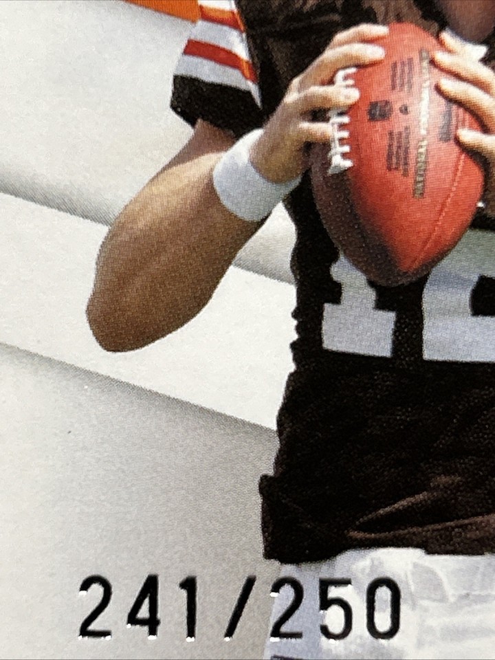 2010 Certified - Certified Potential Colt McCoy #10 Materials /250 (MEM ...