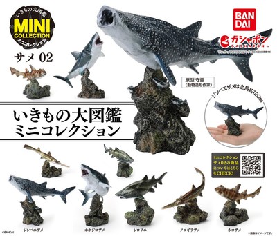 A Complete Set Of 5 Civic Encyclopedia Mini Collection Shark 02 Types ...