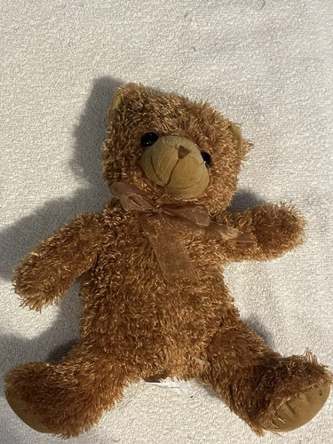 Haunted Paranormal 12" Teddy Bear Doll -Edward - Positive loving | eBay