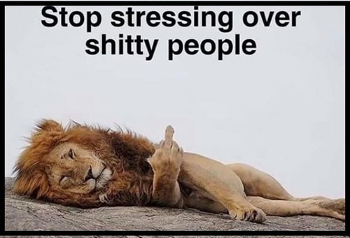 Stop Stressing Over Shi**y People Relax Lion Middle Finger Sticking Up ...