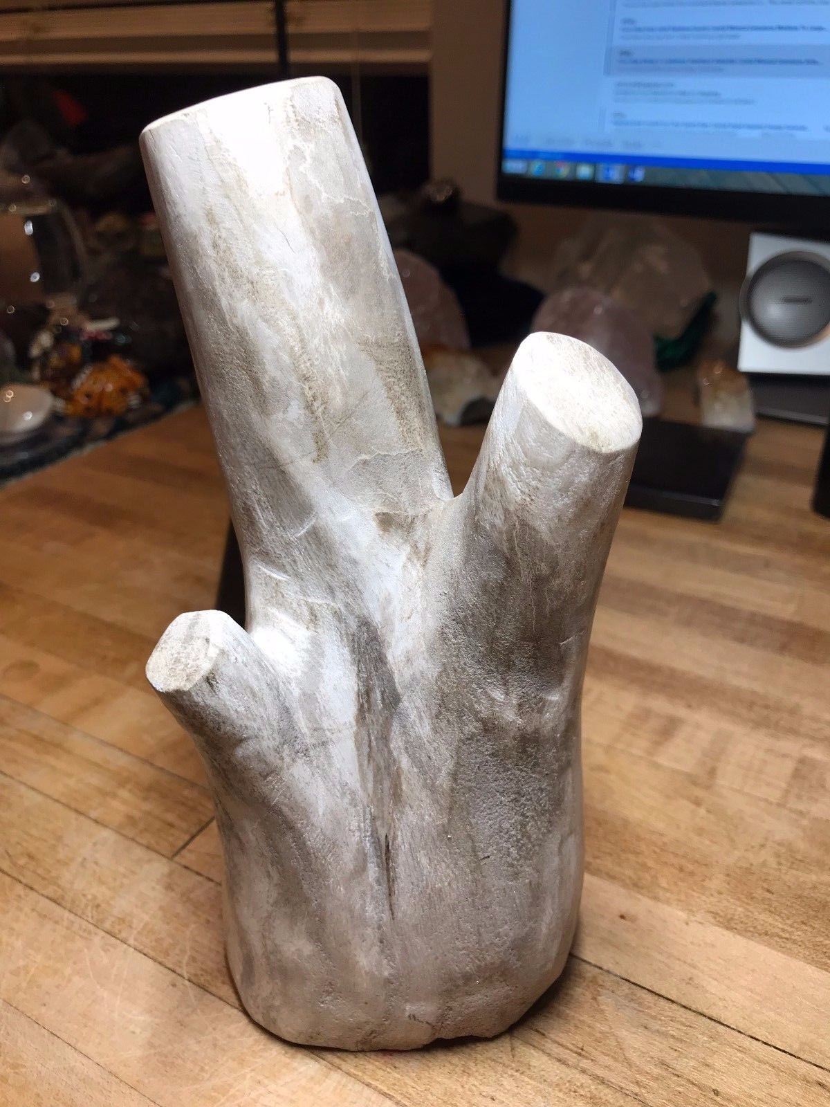 Prettified Wood fossilized Agatized Crystal Gemstone Small Tree ...