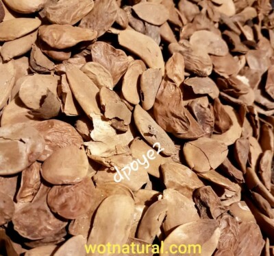 Pure Organic ABERE SEEDS (Hunteria Umbellata) Abere Powder AKUAMMA ...