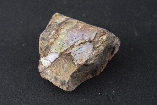 340g Lot of 5 Pieces Baculites Fossil Bone Mineral Specimen V02 | eBay